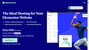 Elementor Pro Pricing (2025): Renewal Price, Annual Cost, and Discounts ...