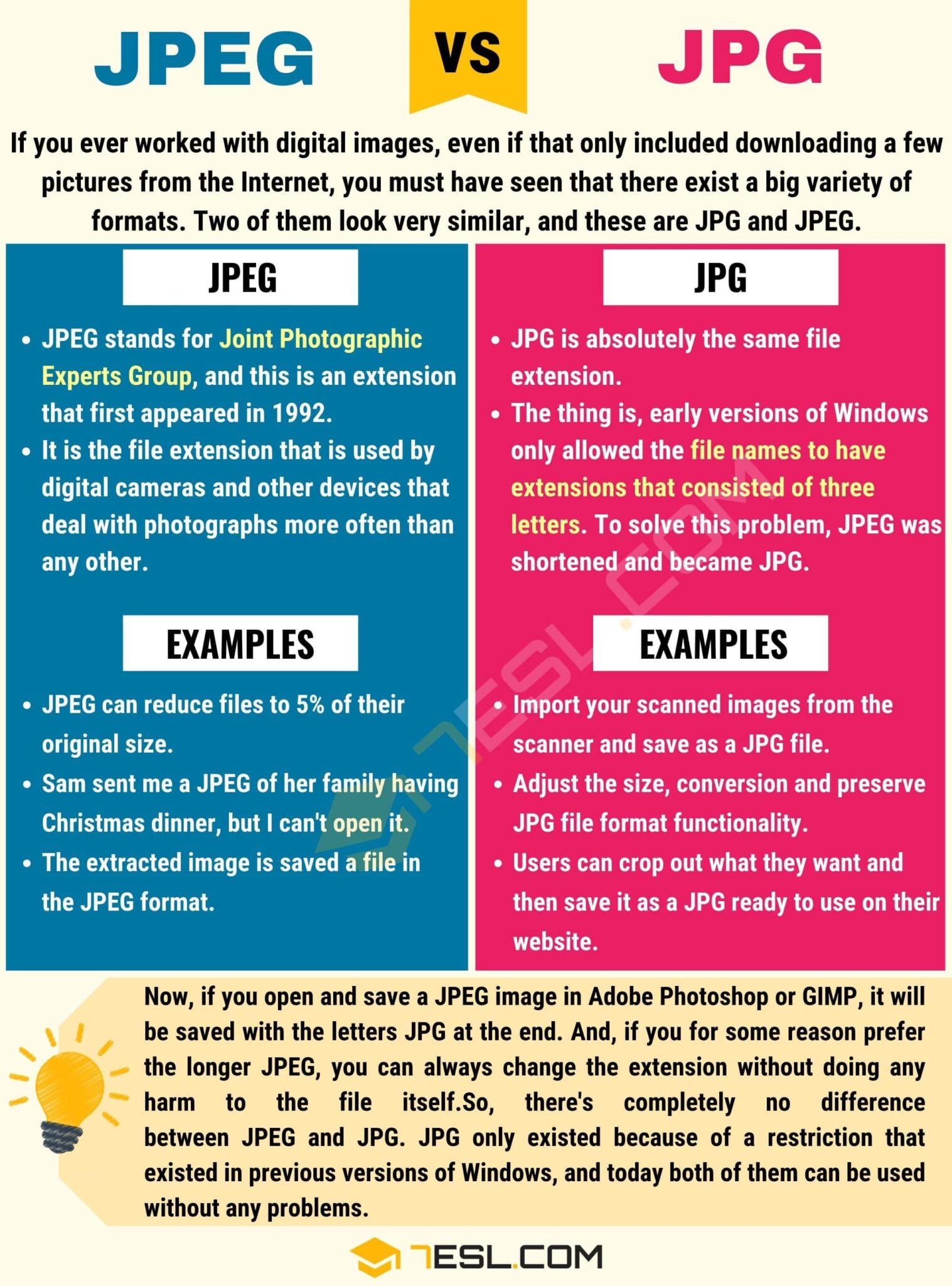 JPG vs JPEG Explained: File Size, Quality, Speed & Best Use
